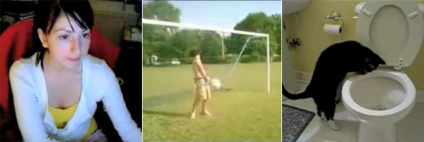 Meme Music Videos - yewknee.com