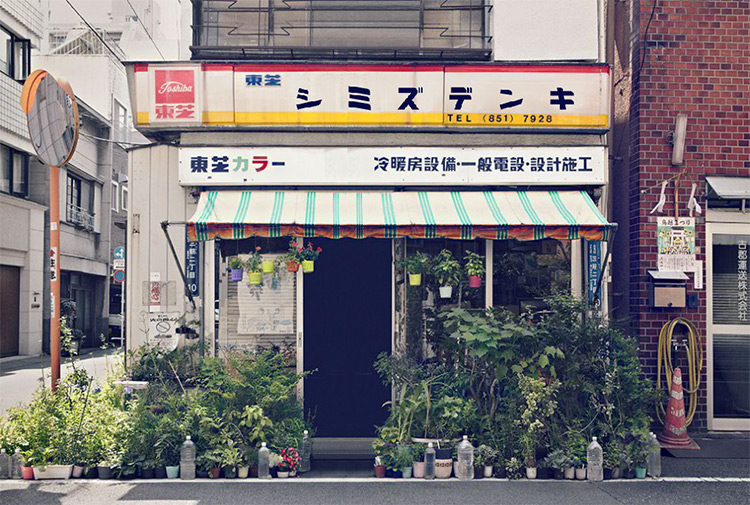 Noramoji - yewknee.com